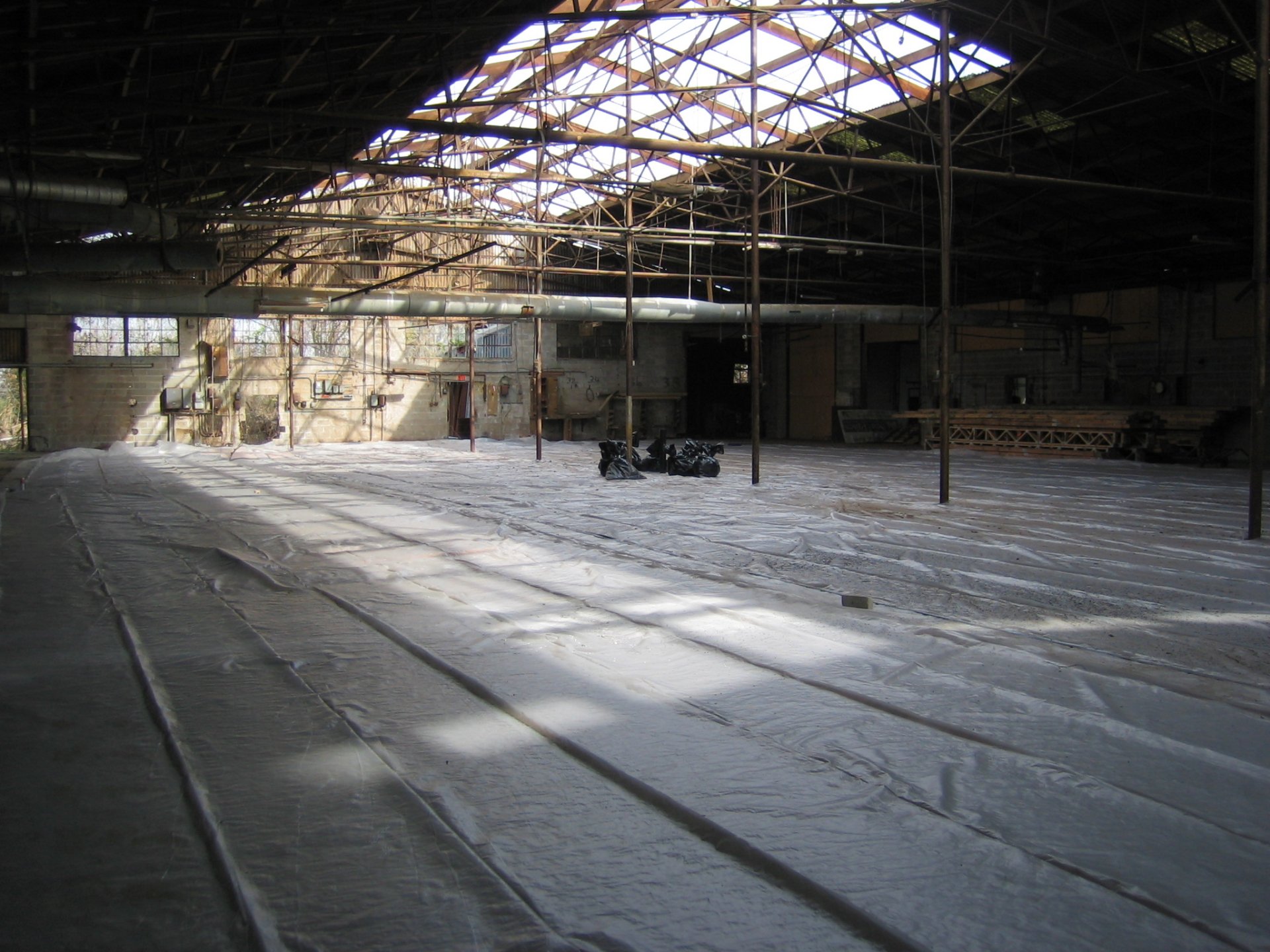 Rhino Demolition | Asbestos, Lead, Mold Remediation, Selective Demo ...