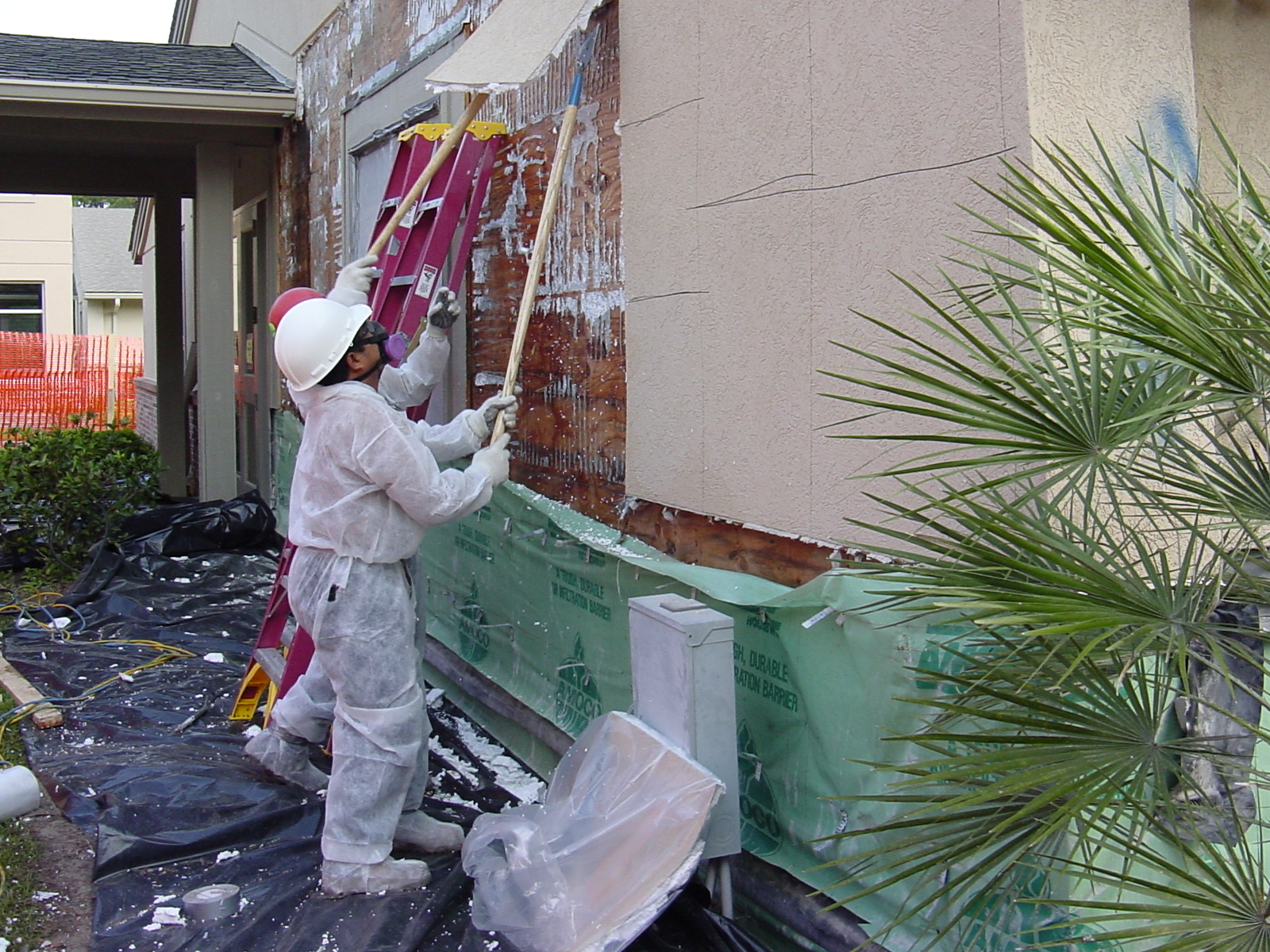 Rhino Demolition | Asbestos, Lead, Mold Remediation, Selective Demo ...